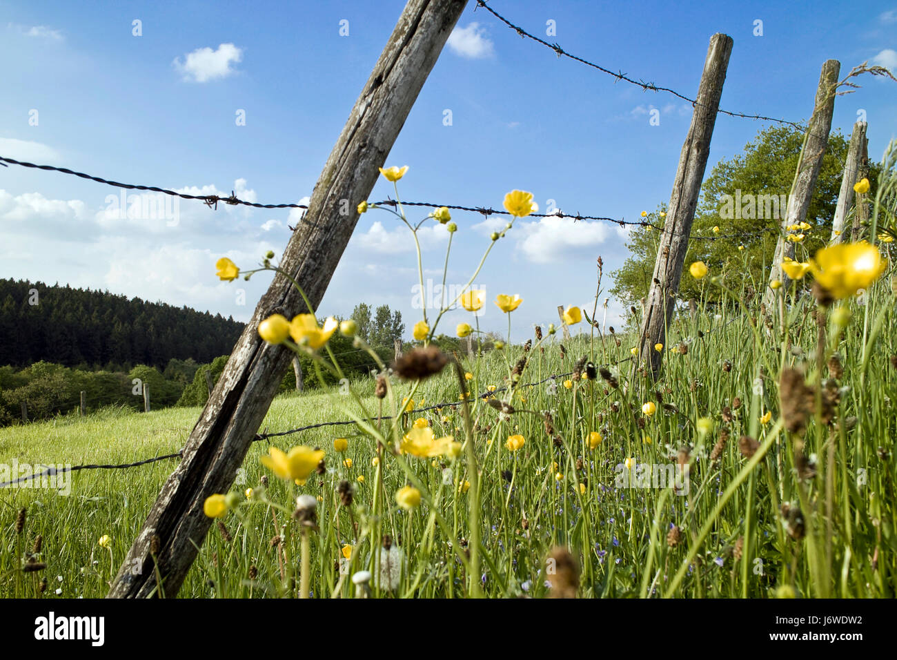 fence meadows natural preserve scenery countryside nature blue colour ...