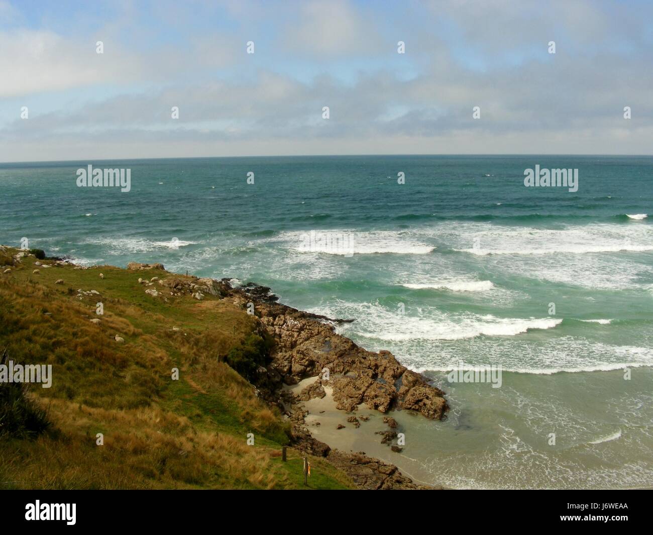 coast new zealand stormy undulate salt water sea ocean water danger ...