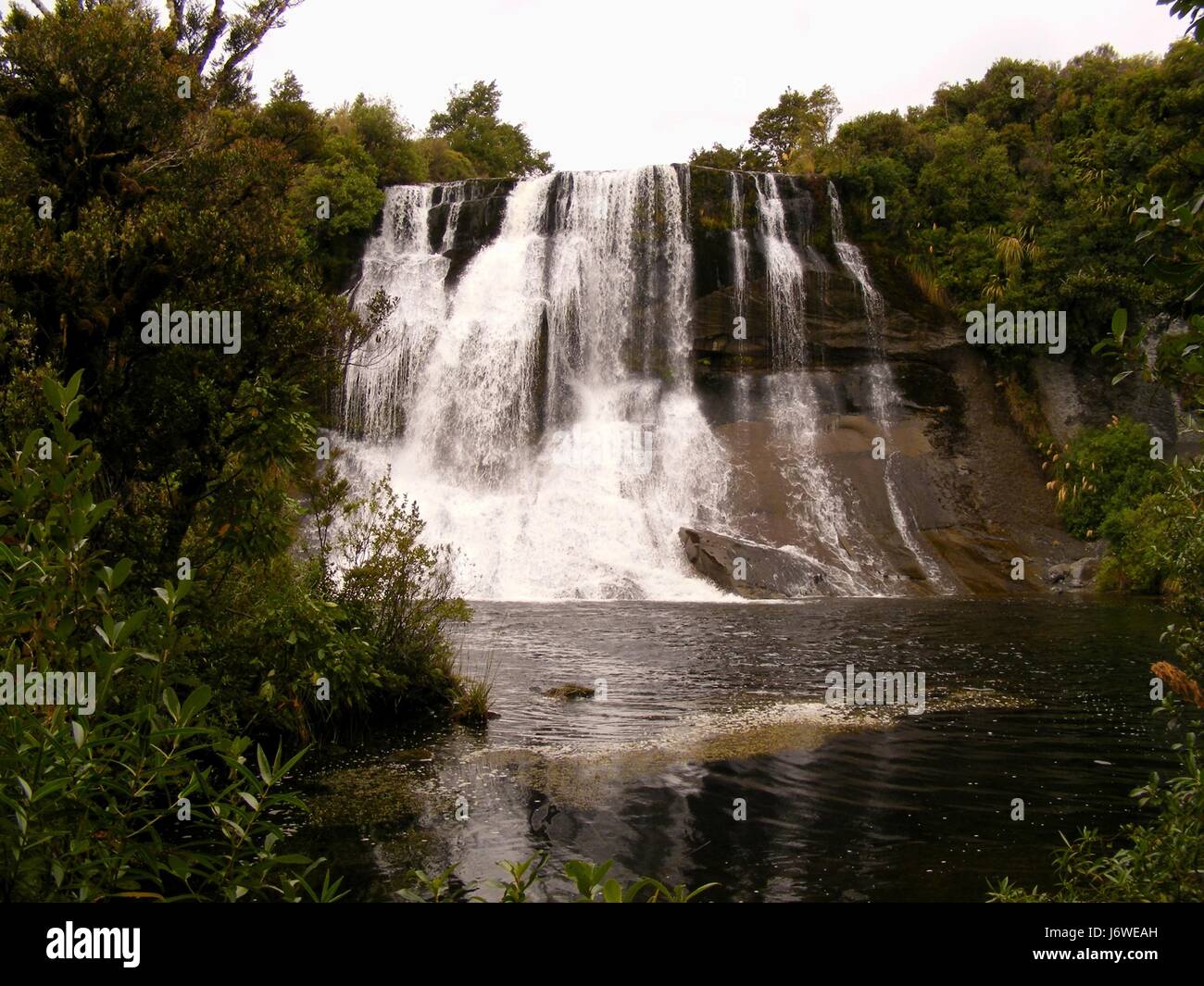 waterfalls urewera nationapark Stock Photo - Alamy