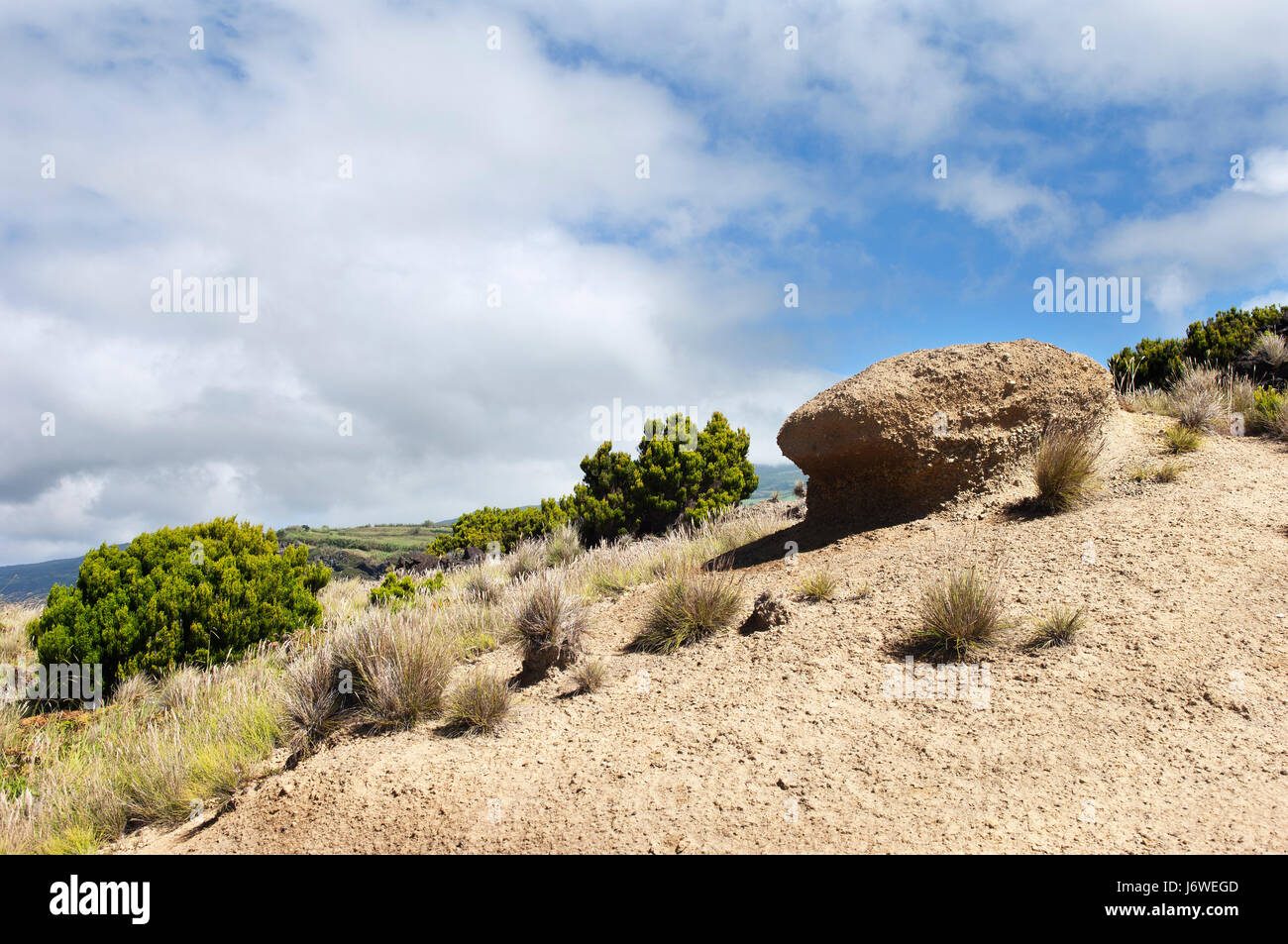 sandstone vegetation juniper azores landscape scenery countryside ...