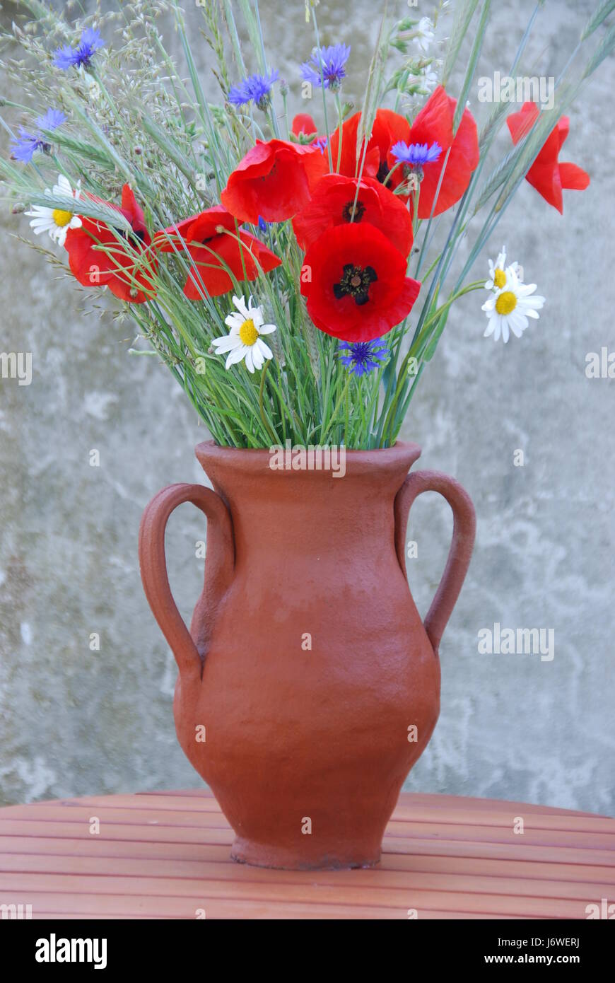 coloured colourful gorgeous multifarious richly coloured still life ...