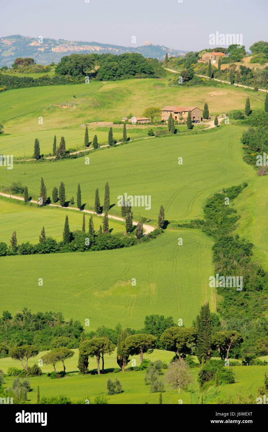 hill spring tuscany bend serpentine street road italy blue house ...