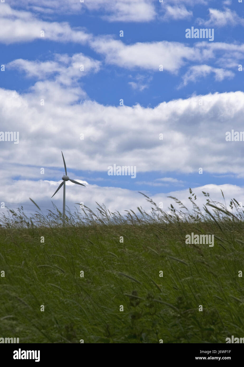 wind force wind energy wind engine meadow firmament sky pinwheels ...