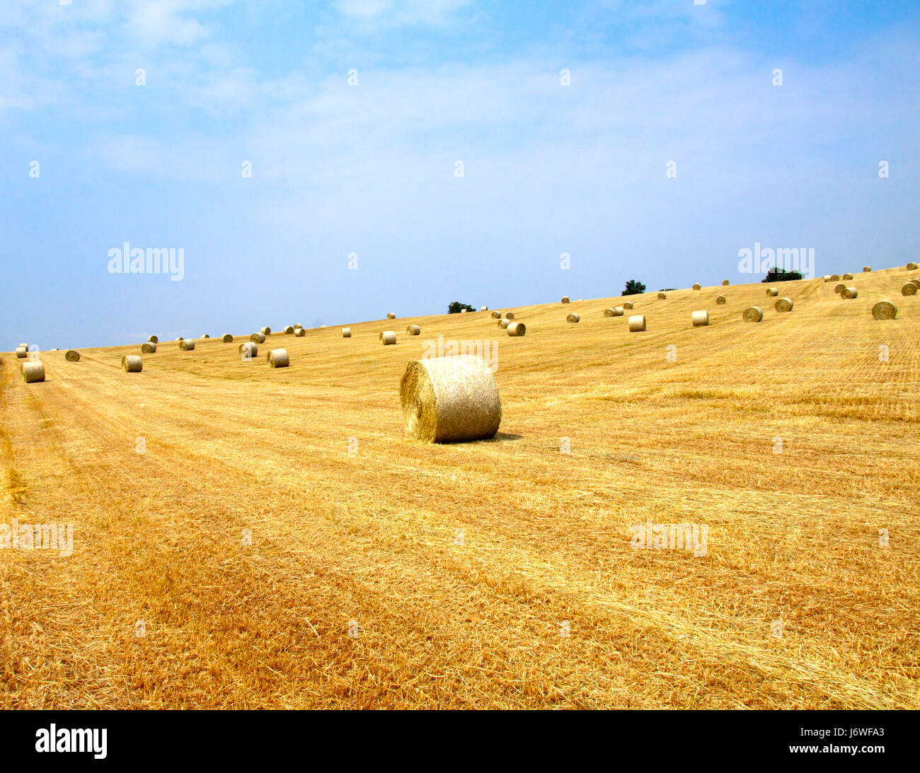 blue ball summer summerly harvest hay landscape scenery countryside ...