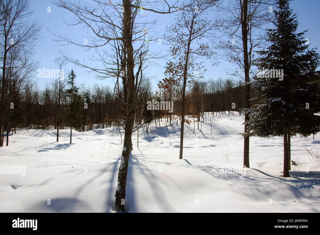 winter snow coke cocaine material drug anaesthetic addictive drug white ...