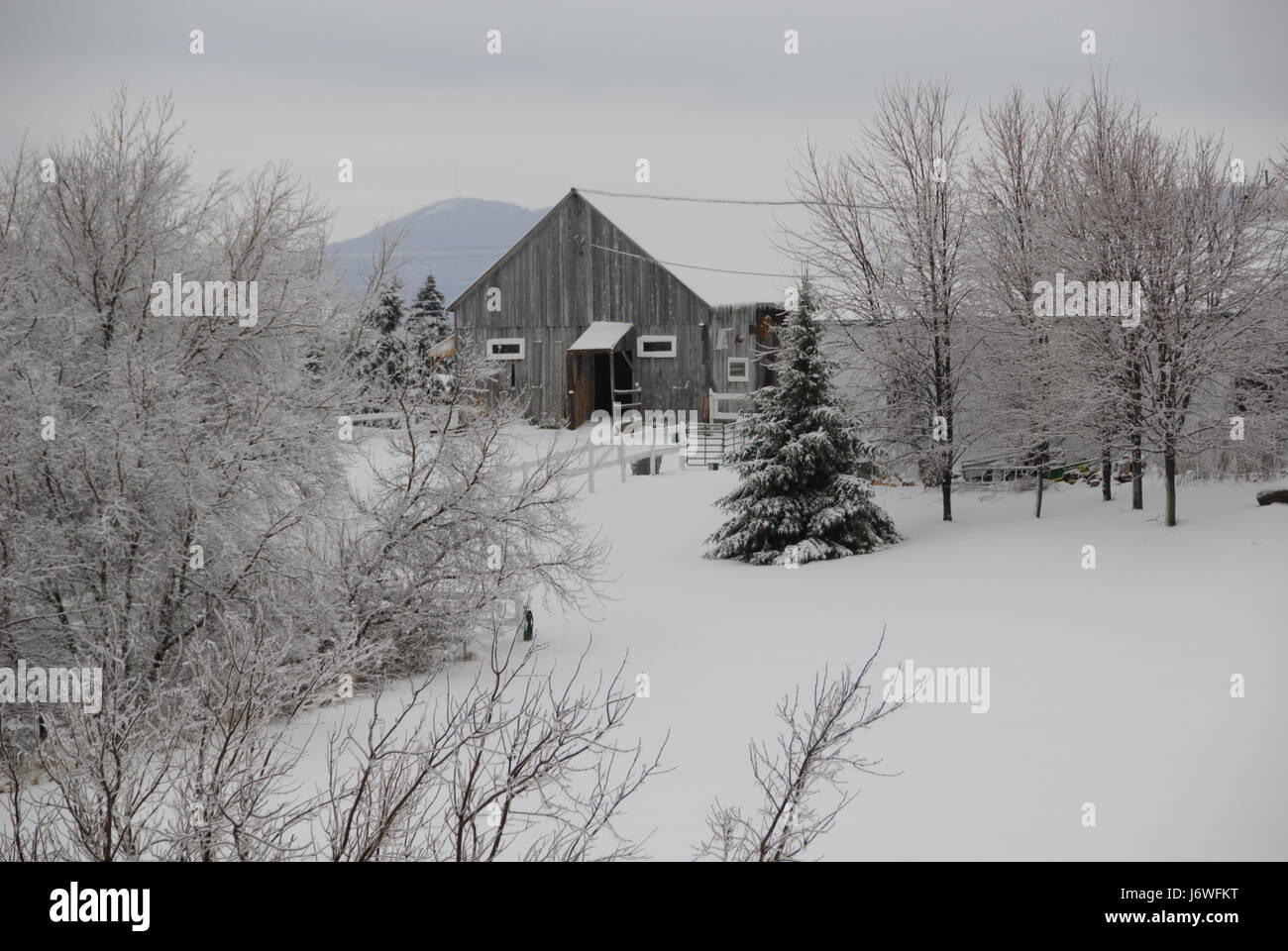 winter snow coke cocaine material drug anaesthetic addictive drug ...