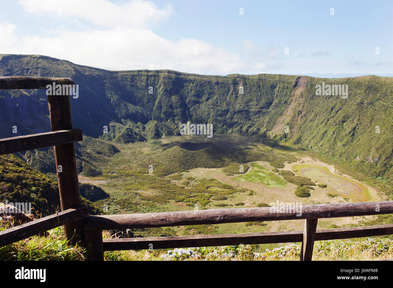 wood fence crater barrier azores vulcan volcano inside flower plant ...