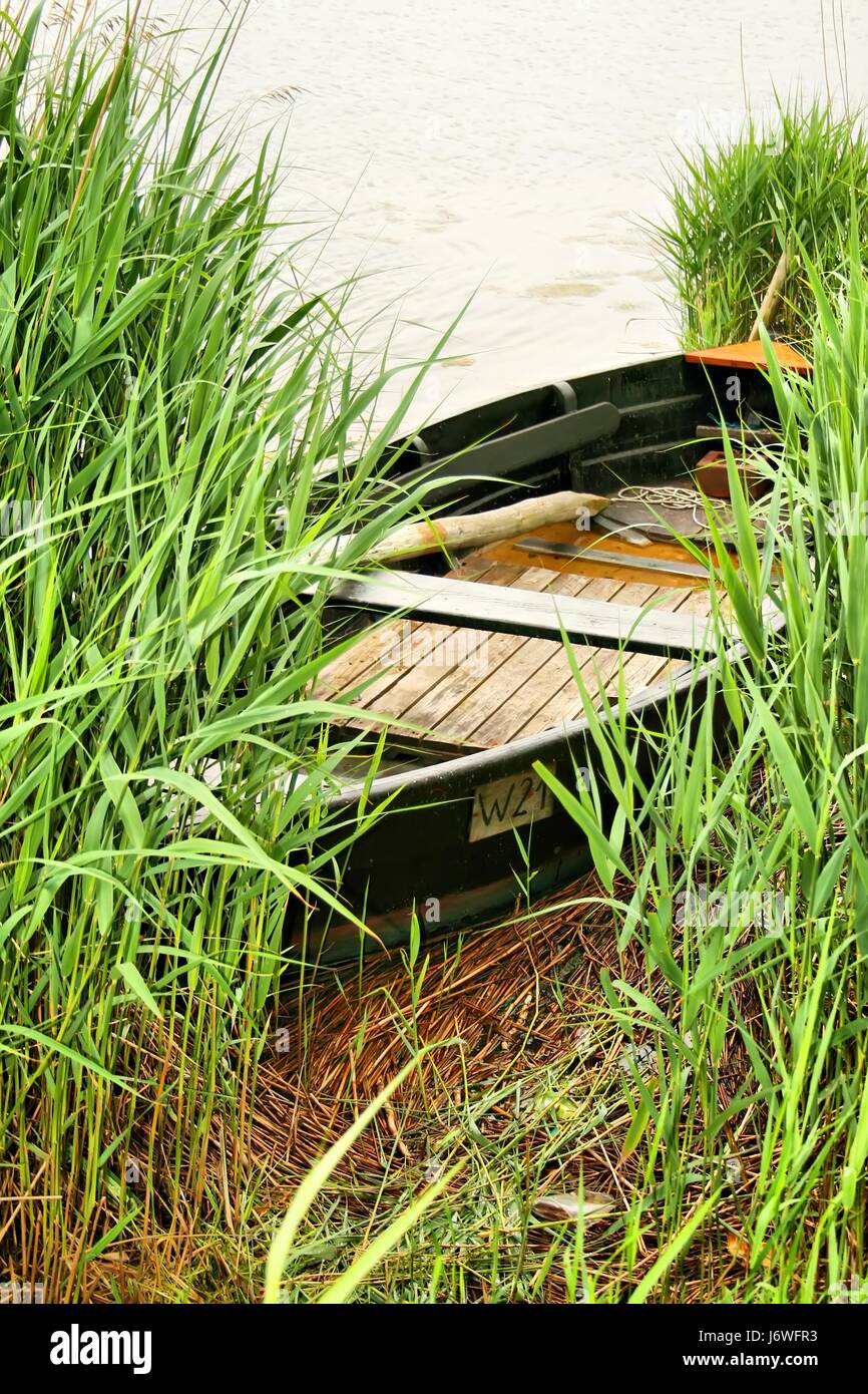 reed water baltic sea salt water sea ocean bank tube pipe rowing boat ...