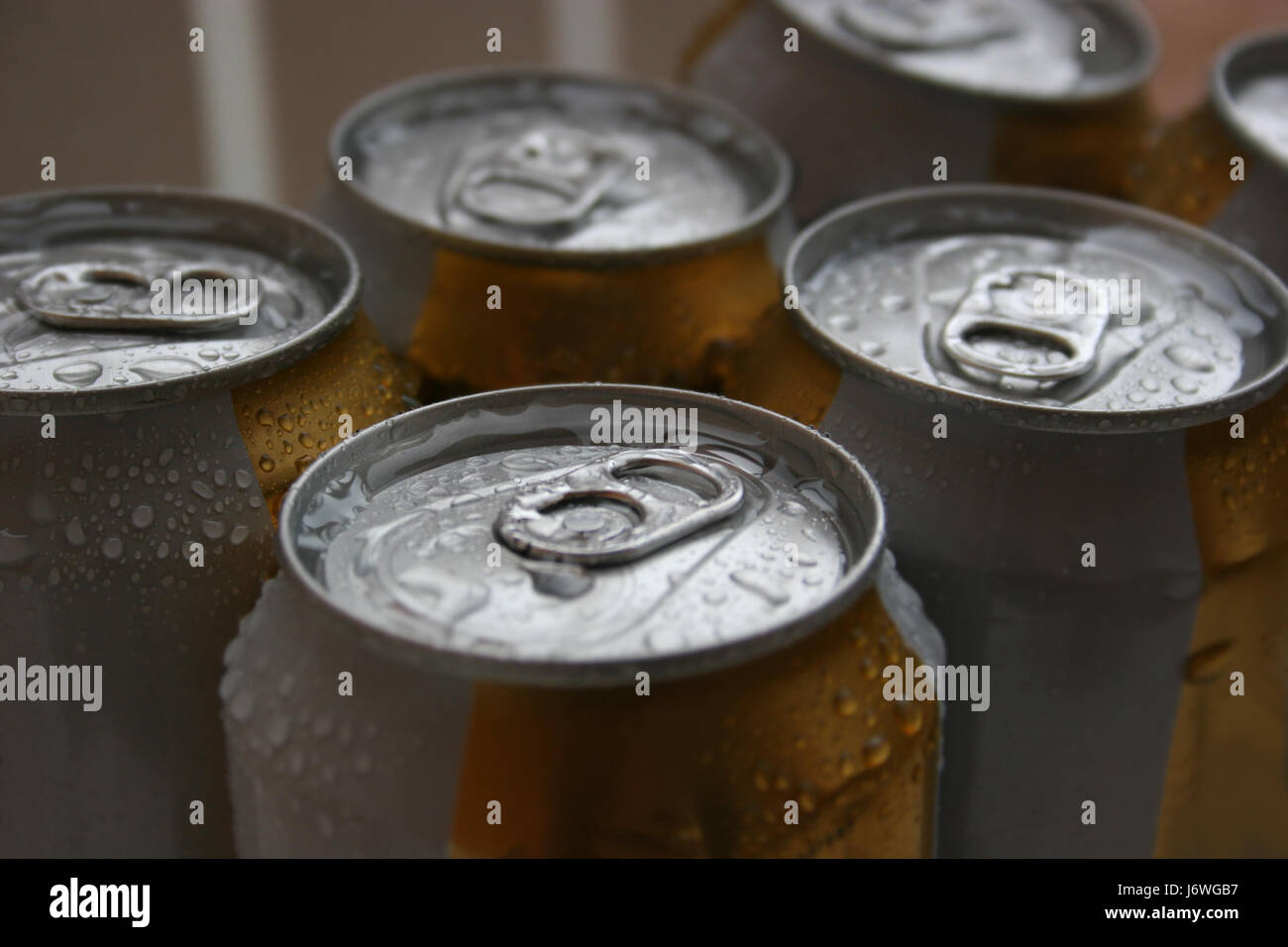 Bear beer can hi-res stock photography and images - Alamy