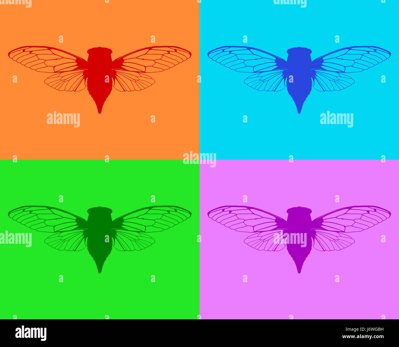 Cicadas illustration hi-res stock photography and images - Alamy