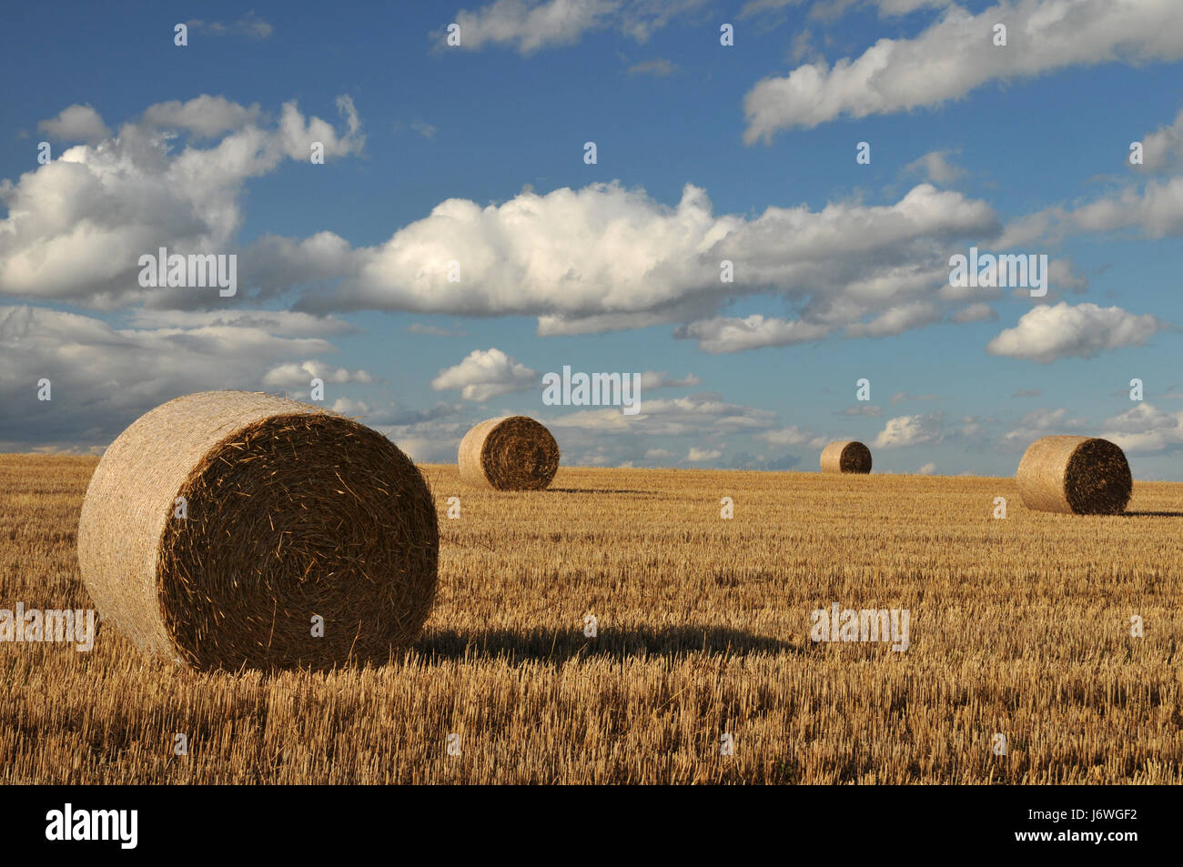 Complete rolls hi-res stock photography and images - Alamy