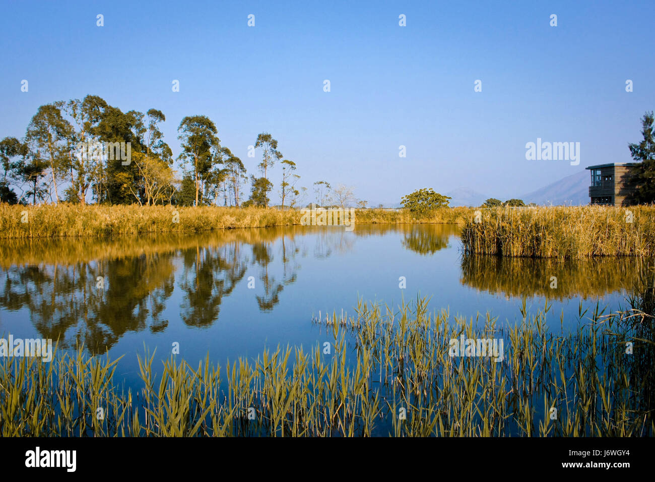 park fresh water lake inland water water landscape scenery countryside ...