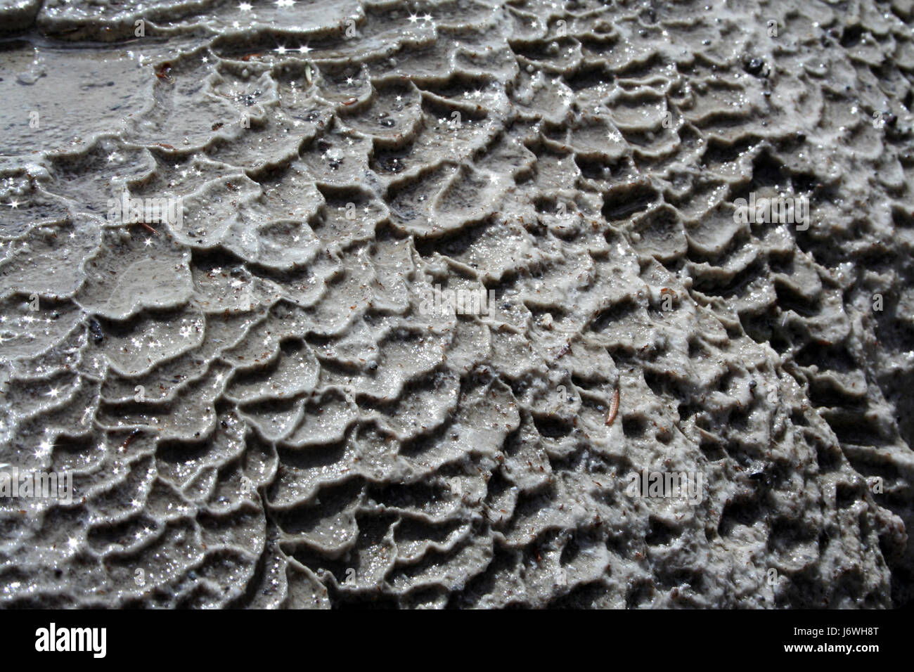 Limescale Deposit High Resolution Stock Photography and Images - Alamy