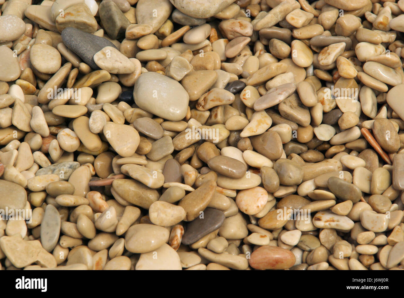 pebble on the beach - pebble on the beach 41 Stock Photo - Alamy