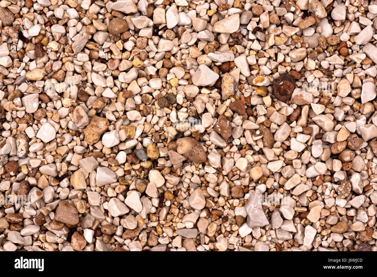 beach seaside the beach seashore summer summerly season pebbles salt ...