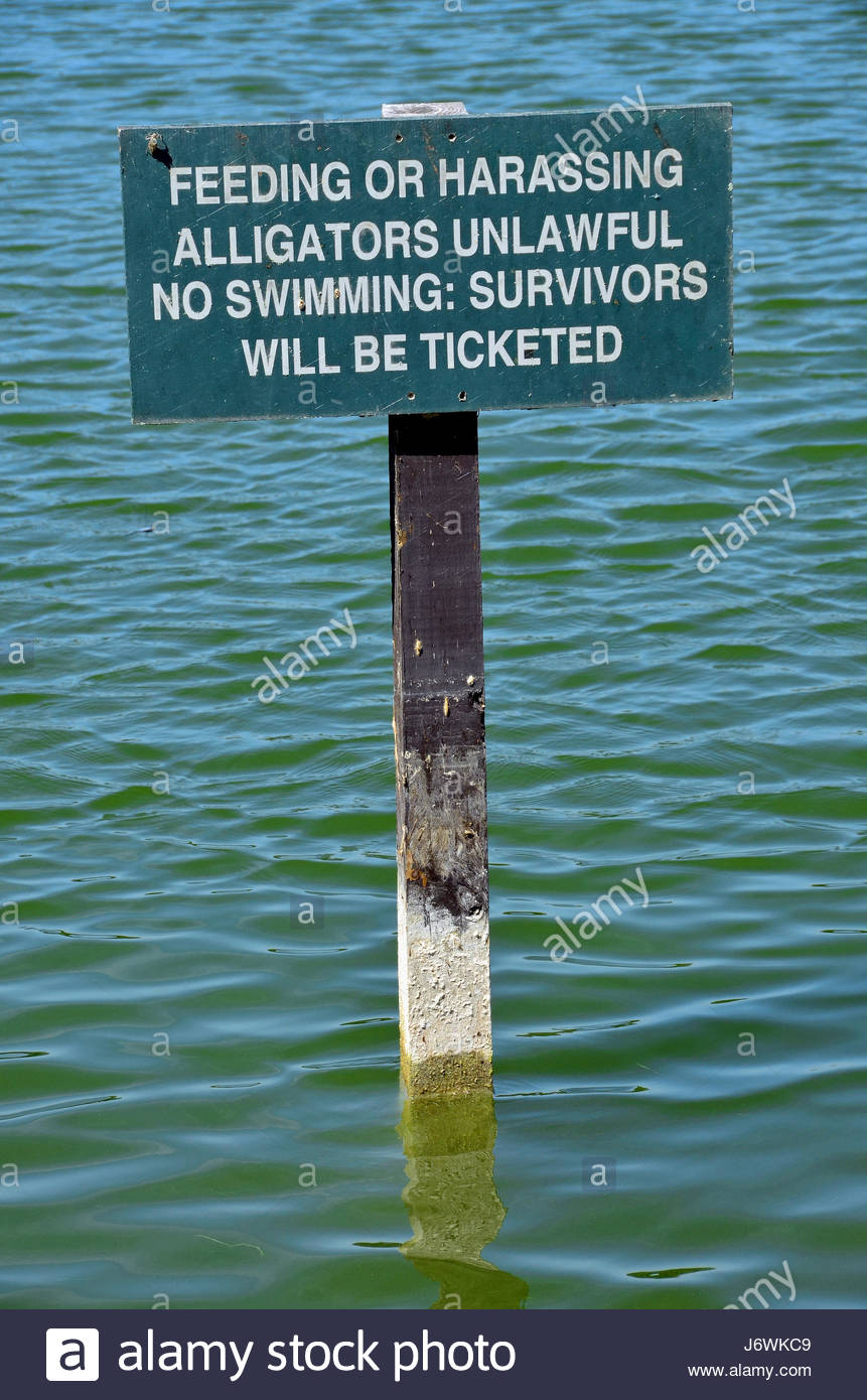 Alligator Warning Sign Stock Photos & Alligator Warning Sign Stock ...