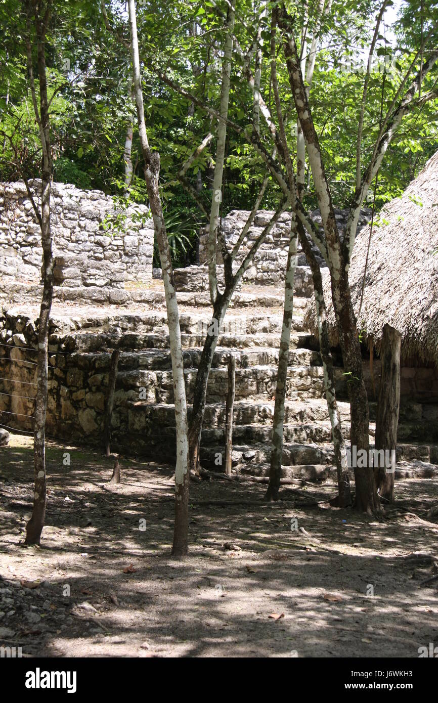 coba mayan ruins Stock Photo - Alamy