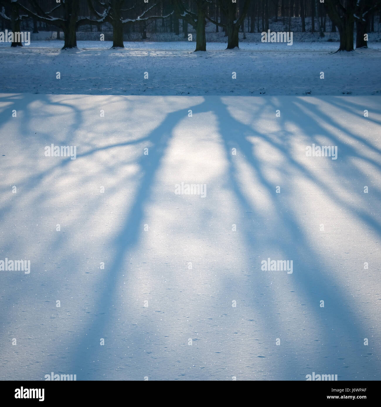 shadows on ice Stock Photo - Alamy
