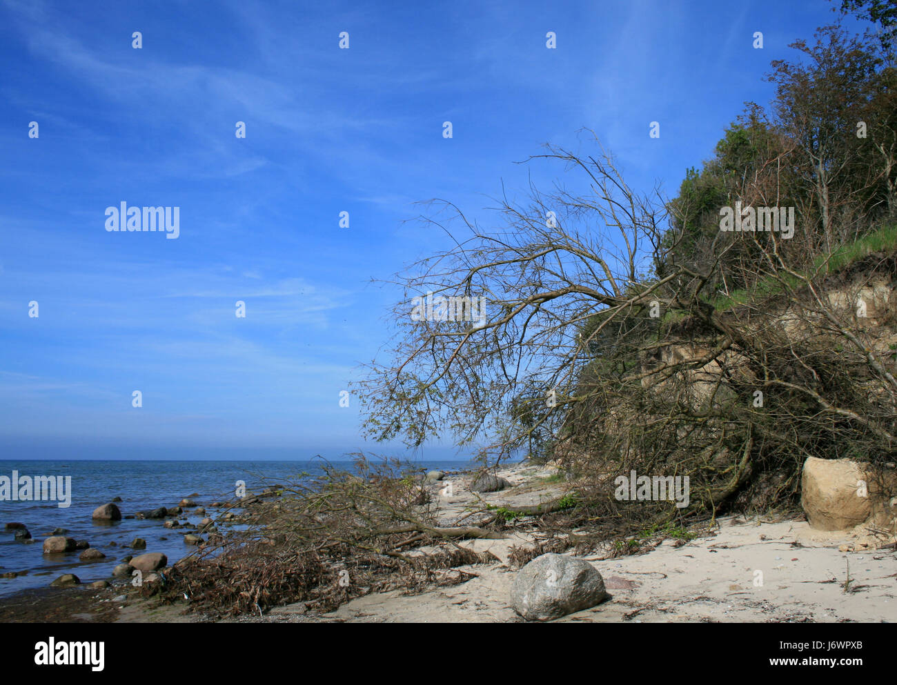 Trees crashed hi-res stock photography and images - Alamy