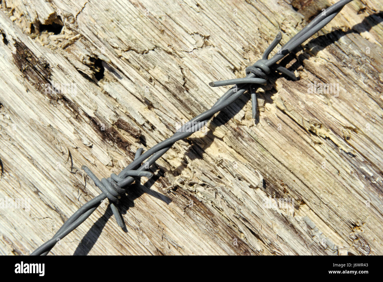 barbed wire on wood Stock Photo - Alamy