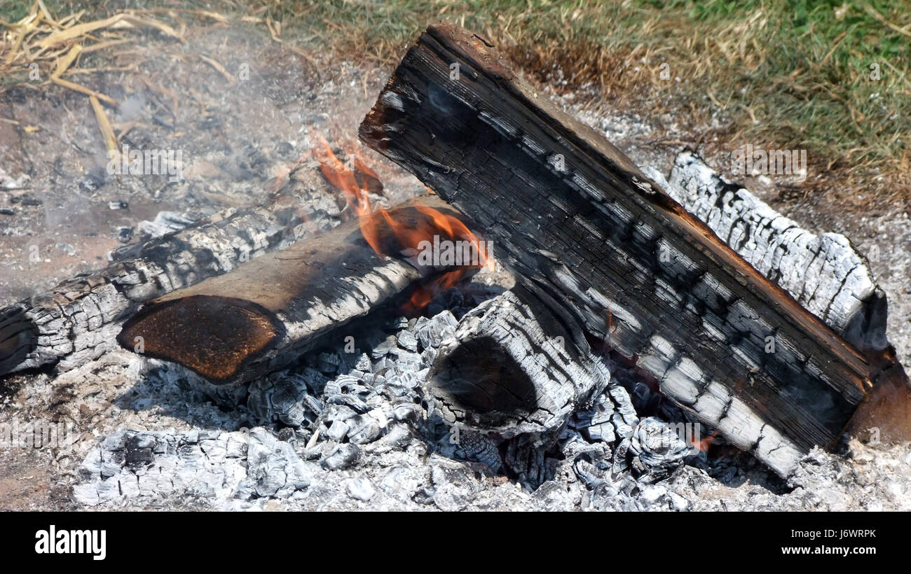 wood fire conflagration heat hearth lawn green smoke smoking smokes ...