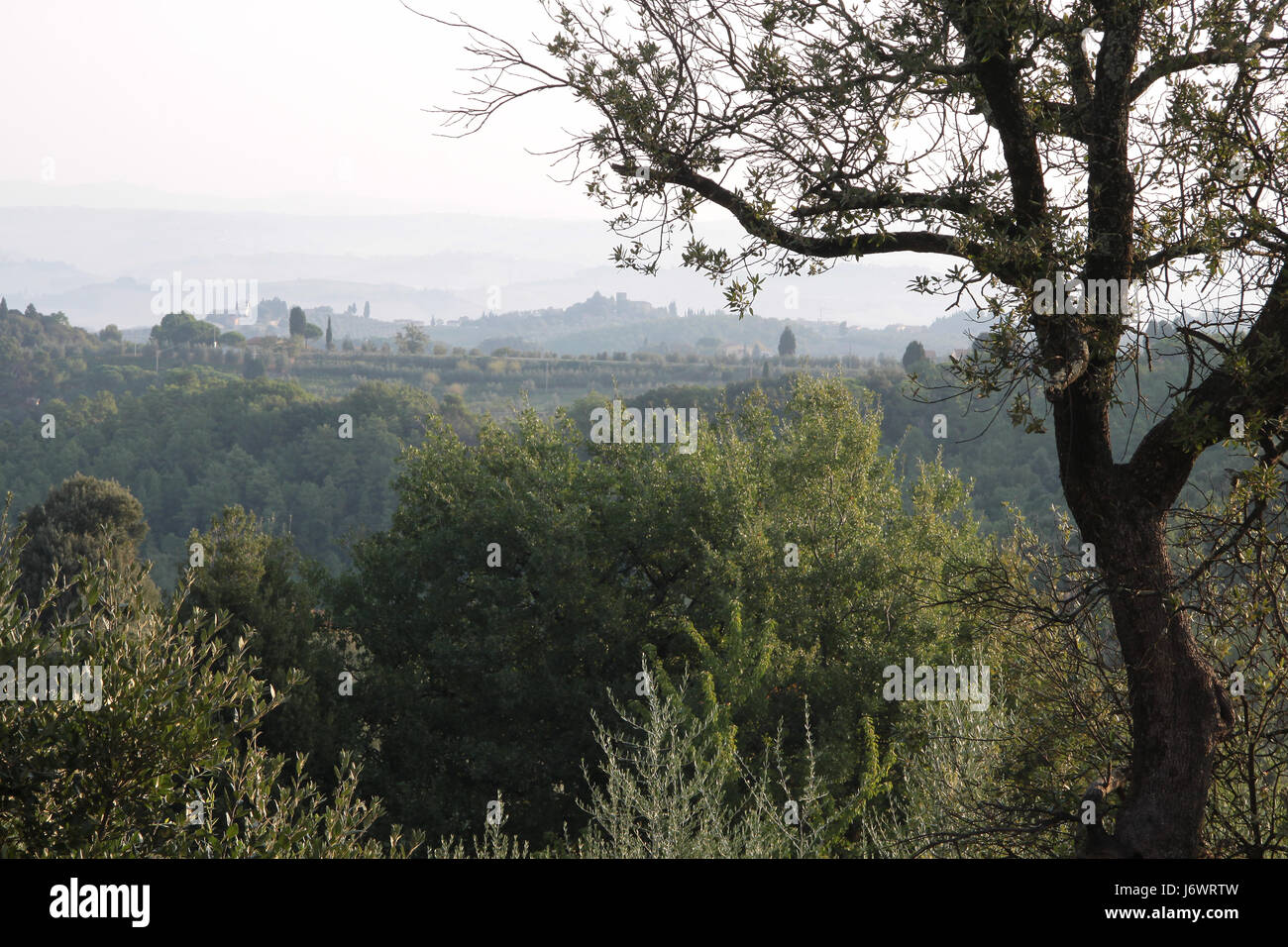 tuscany typical italian scenery countryside nature italy bucolic tree ...