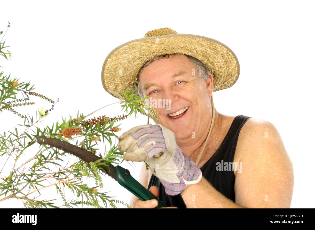 gardener saw cut prune plant man laugh laughs laughing twit giggle ...