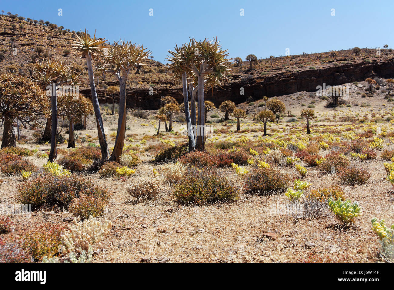 travel horizontal safari landscape scenery countryside nature quiver ...