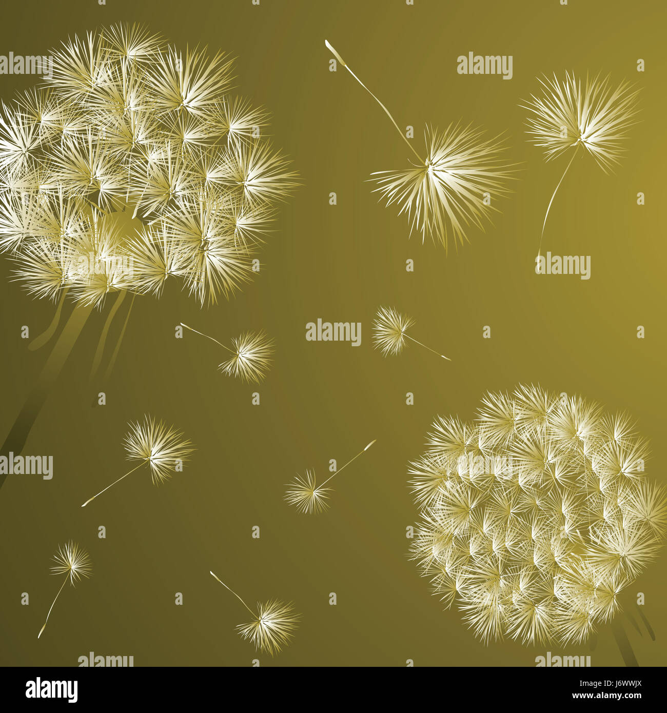 art bloom blossom flourish flourishing abstract biology blow backdrop ...