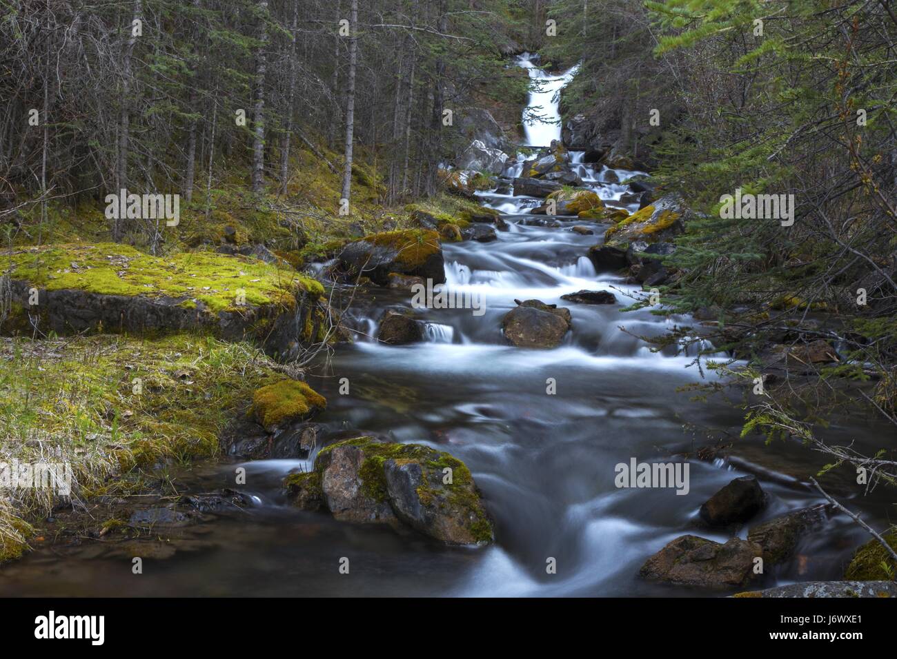 Mountain Creek Water Cascading over Stone Rocks. Scenic Ambient Forest ...