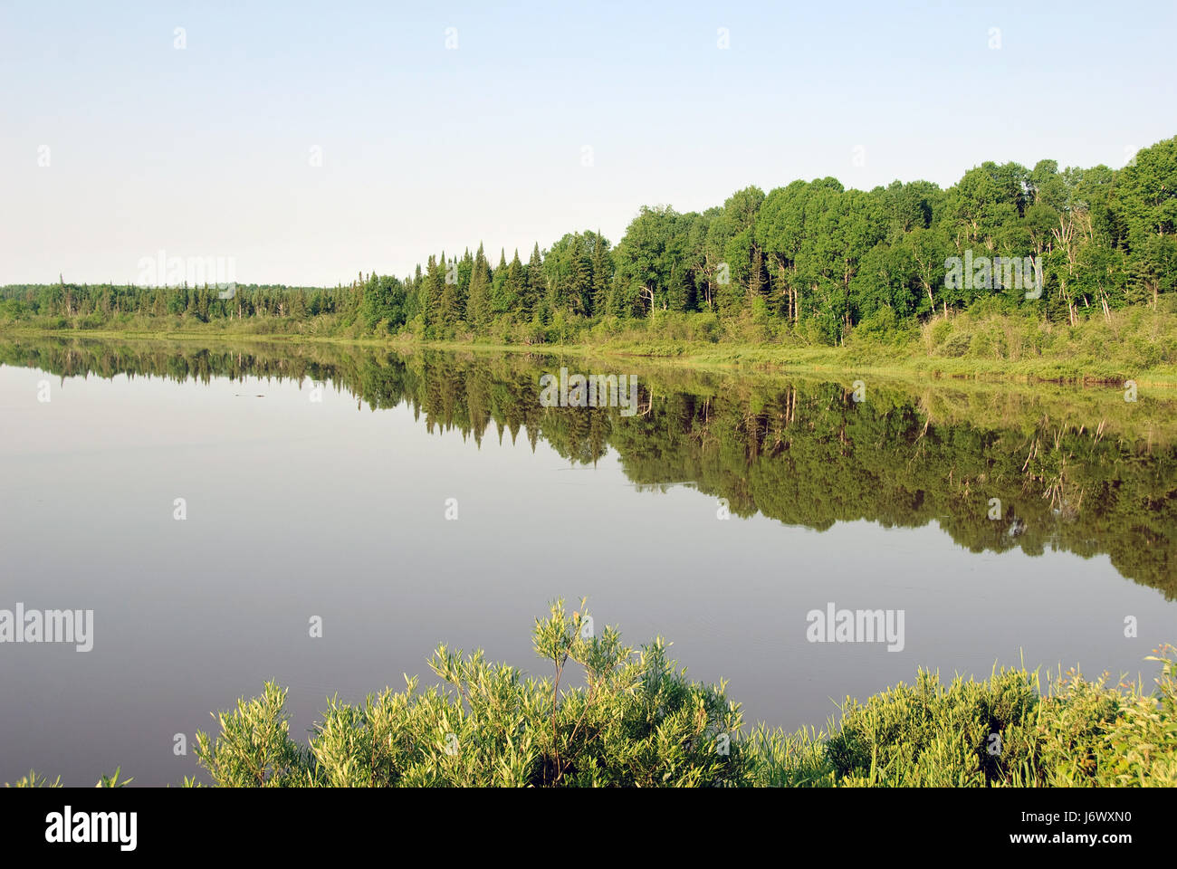 blue summer summerly reflection fresh water lake inland water water ...
