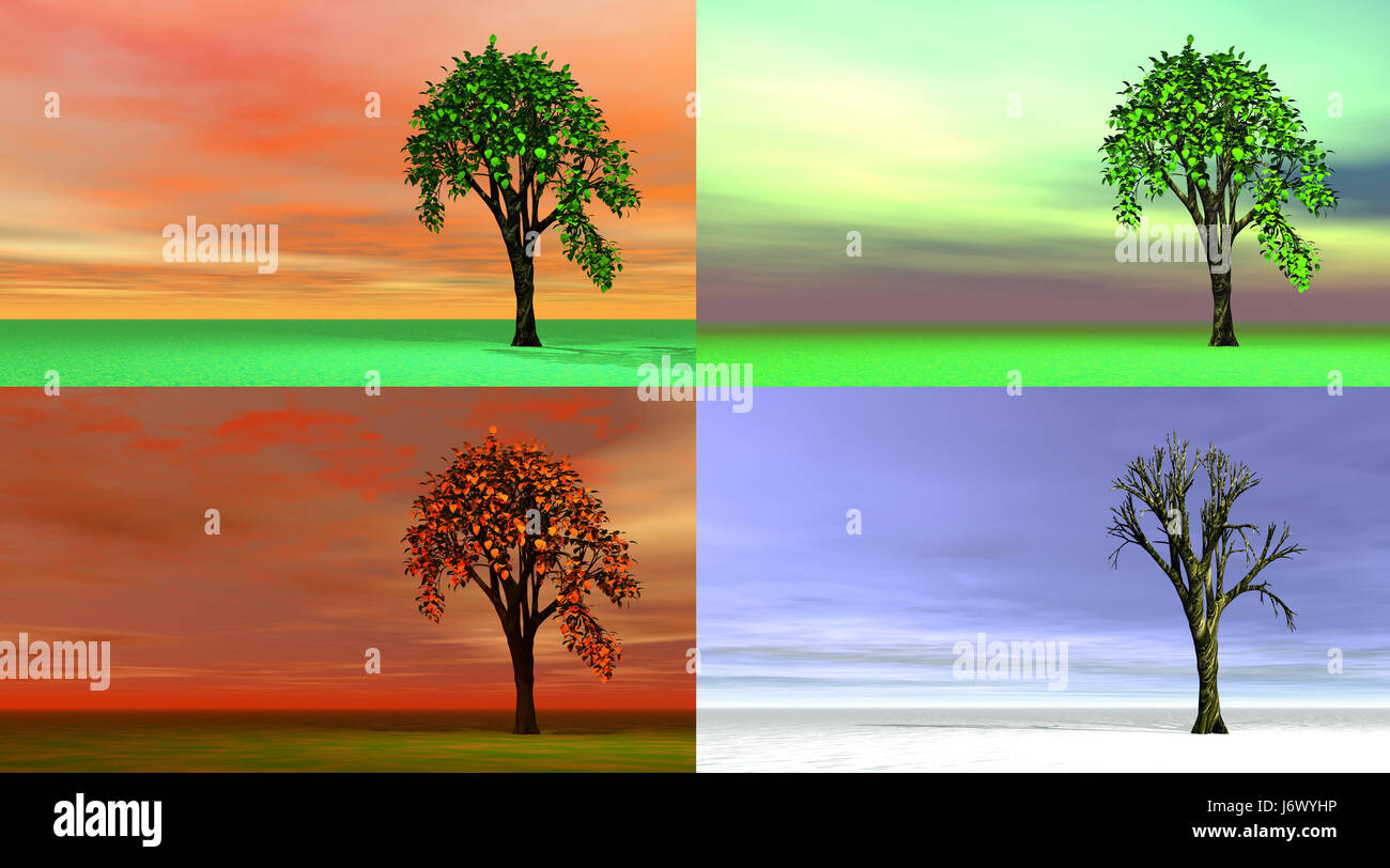 tree trees winter summer summerly spring season landscape scenery ...