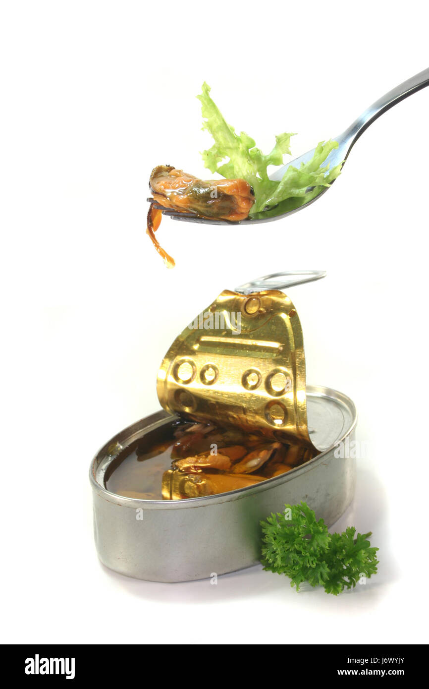 shell on a fork Stock Photo - Alamy