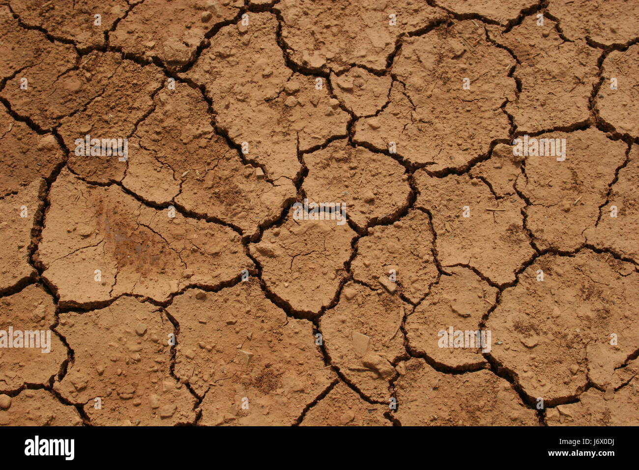parched soil of an acre Stock Photo - Alamy