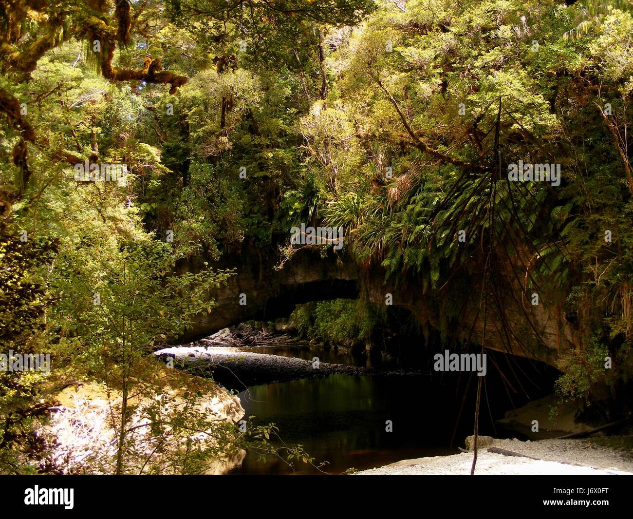Subterranean paradise hi-res stock photography and images - Alamy
