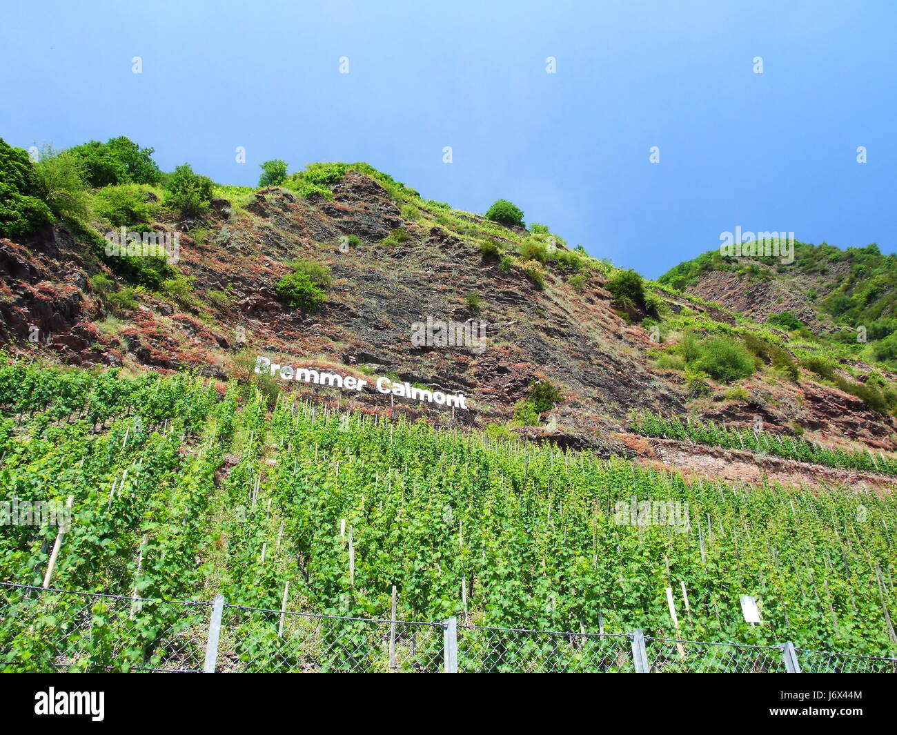 Bremmer hi-res stock photography and images - Alamy