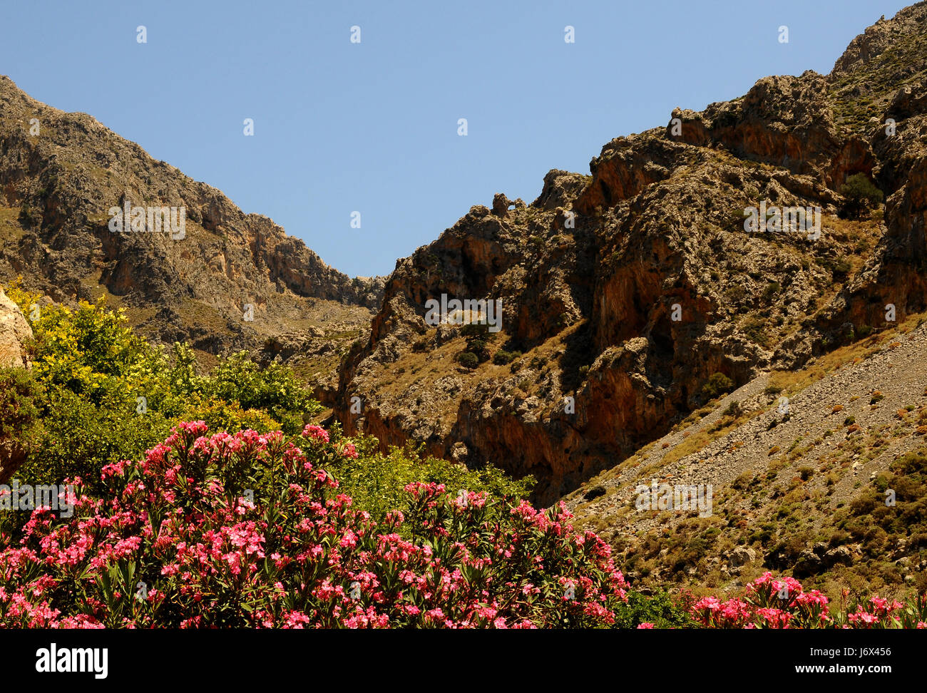kourtaliotiko gorge on crete Stock Photo - Alamy