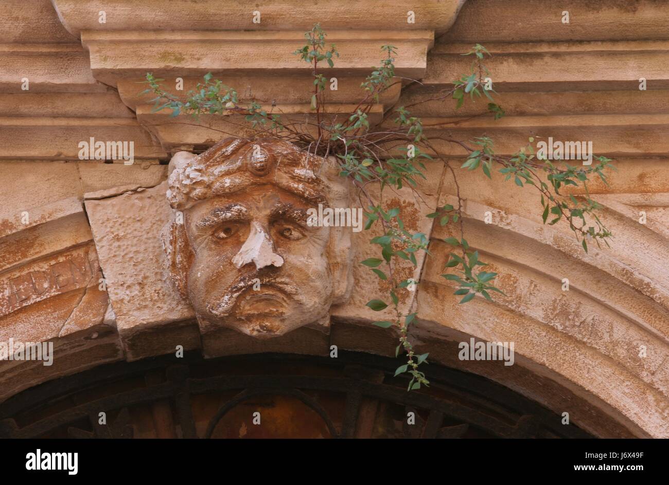 facade stucco mask house building art symbolic stone emblem flower ...