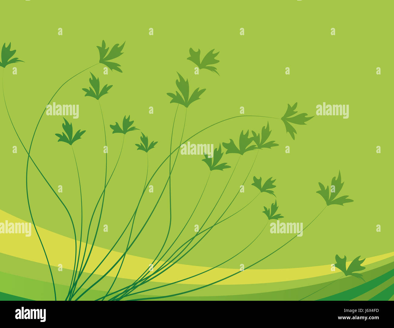 leaves lawn green foliage plant motion postponement moving movement ...