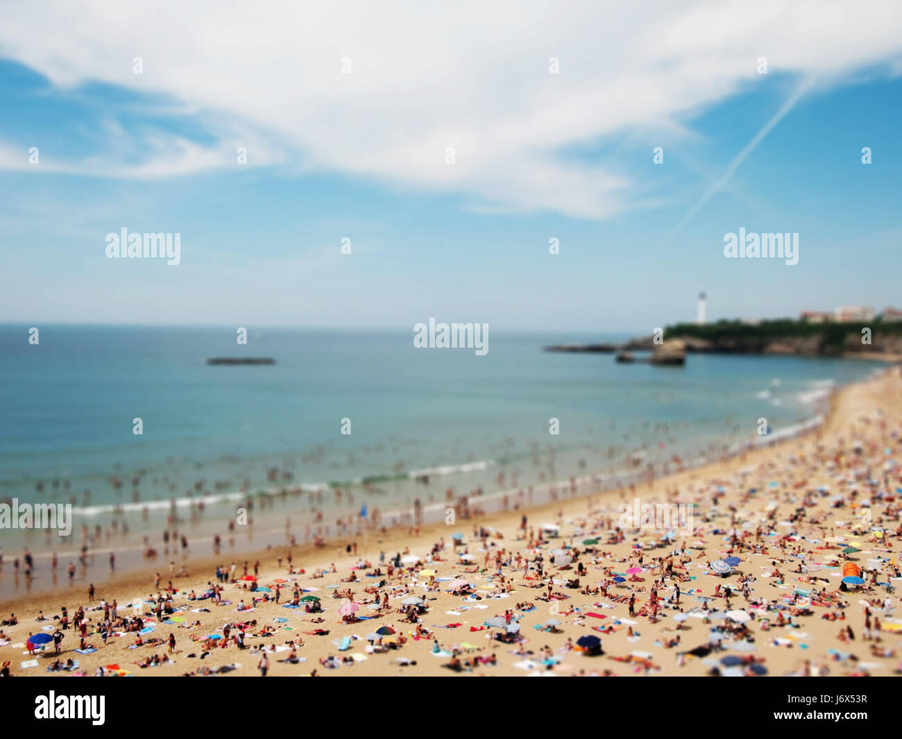 humans human beings people folk persons human human being beach seaside ...