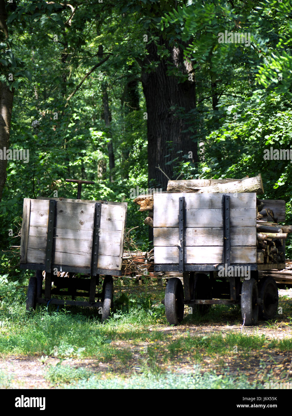 wooden carts forest Stock Photo - Alamy