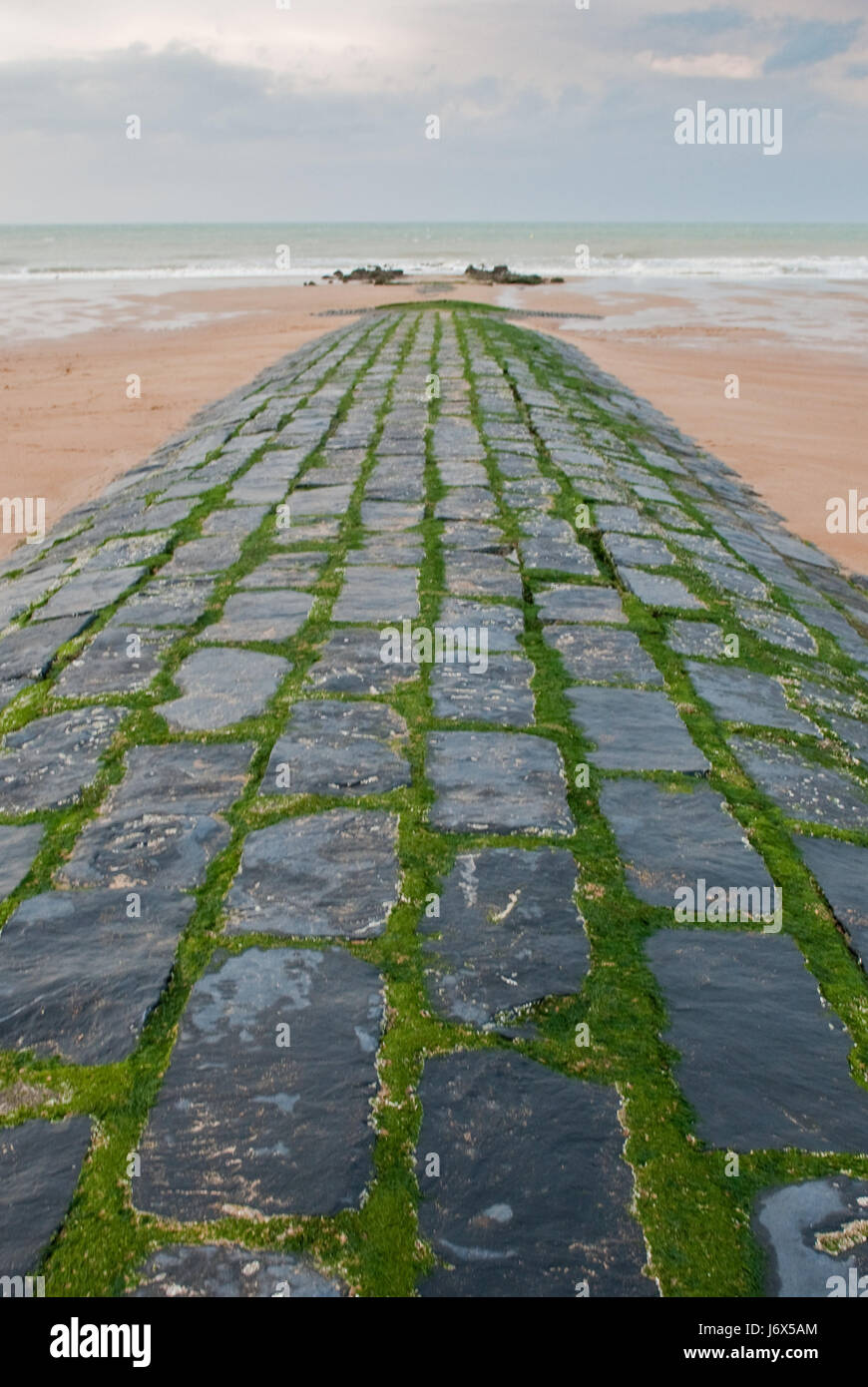 beach seaside the beach seashore salt water sea ocean water sands sand ...