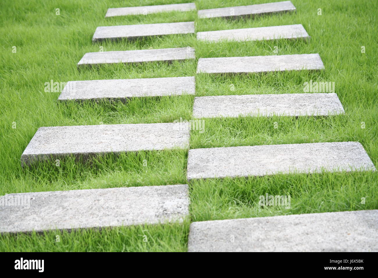 walk go going walking steps step horizontal meadow grass lawn green ...