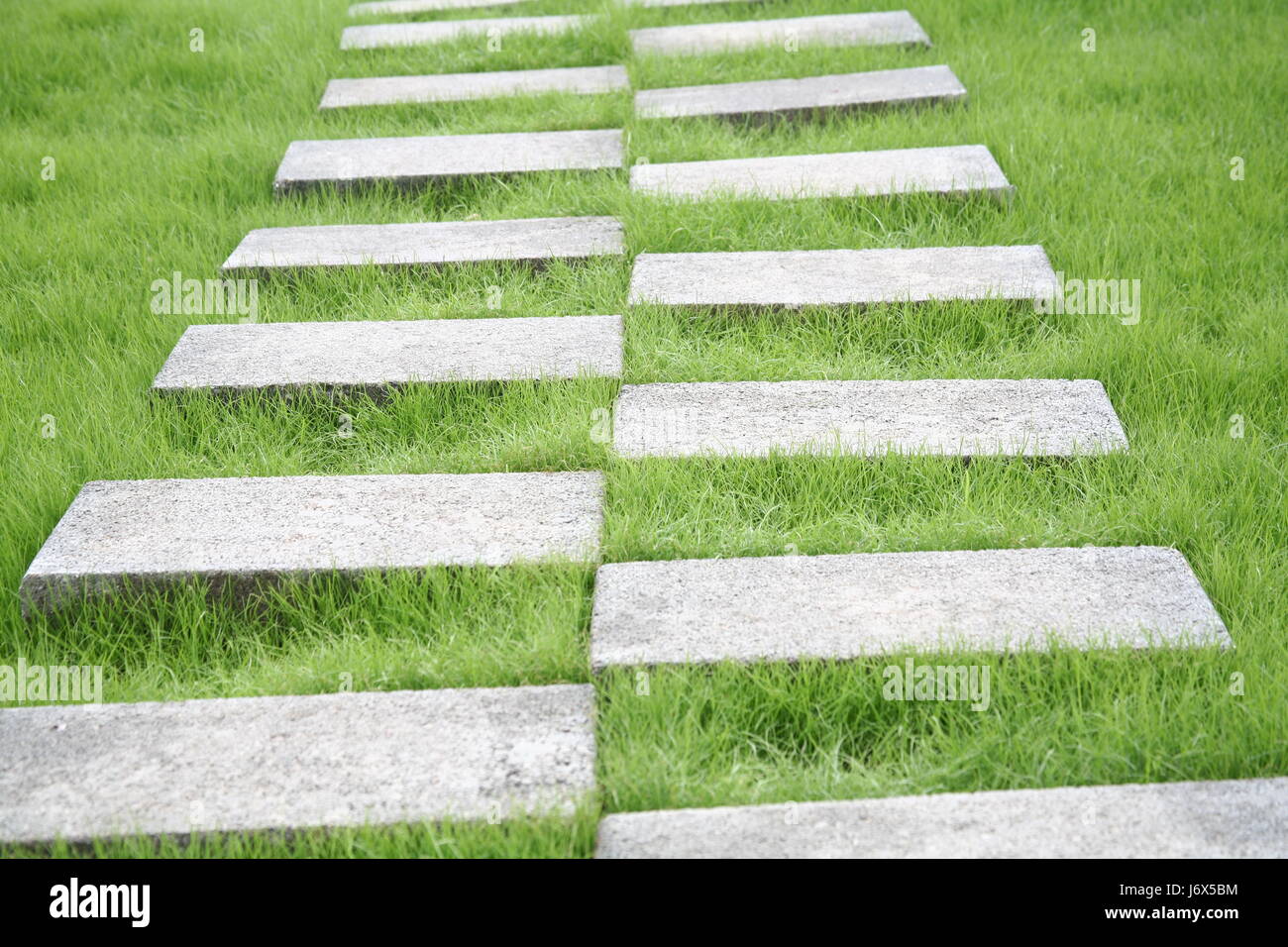 walk go going walking steps step horizontal meadow grass lawn green ...