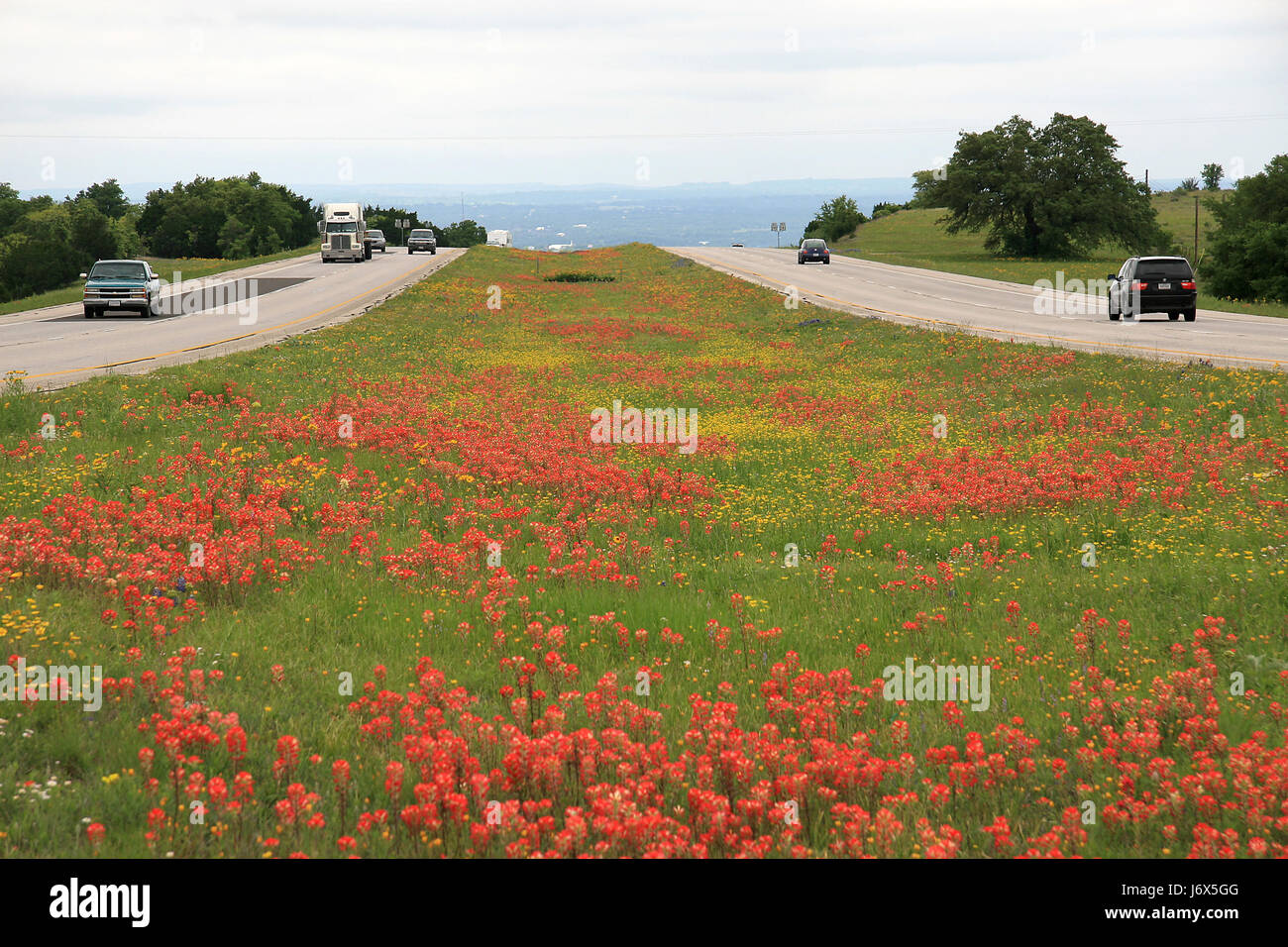 Texas highway flowers hi-res stock photography and images - Alamy