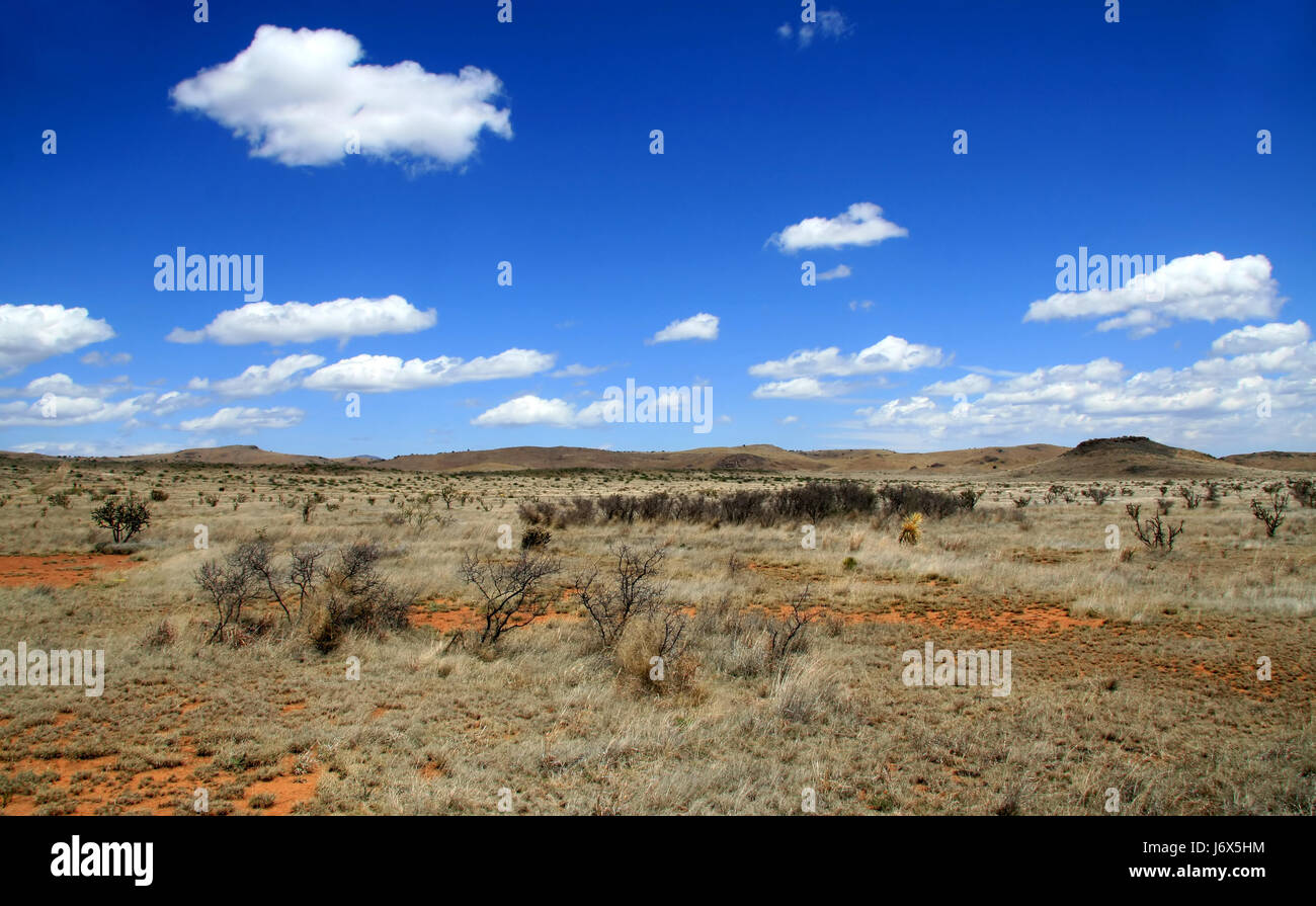 prairie in texas Stock Photo - Alamy