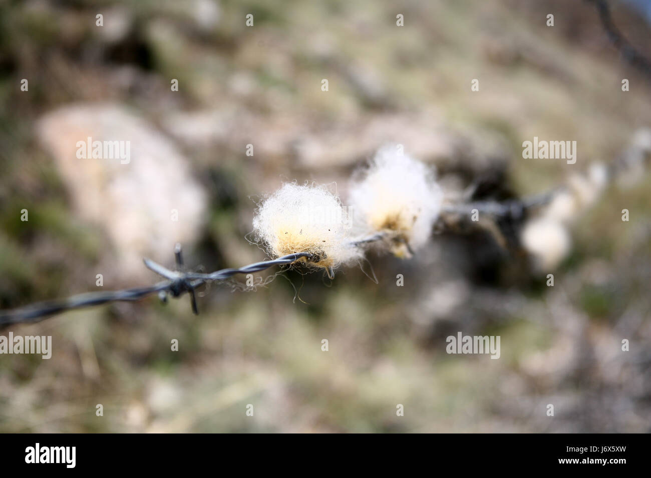 danger fight fighting conflict lines war freedom liberty horizontal ...