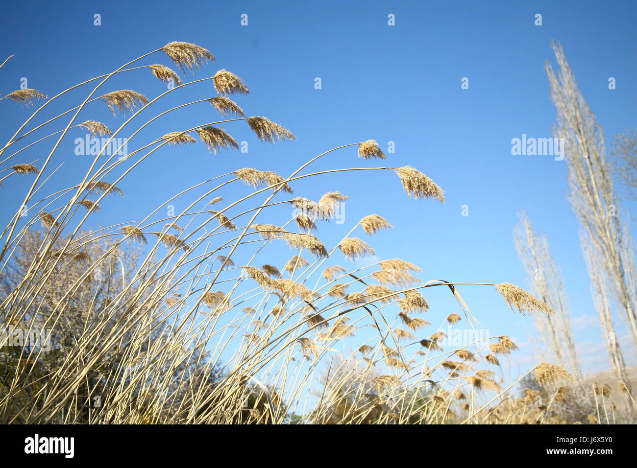 space sunset shine shines bright lucent light serene luminous sunny ...