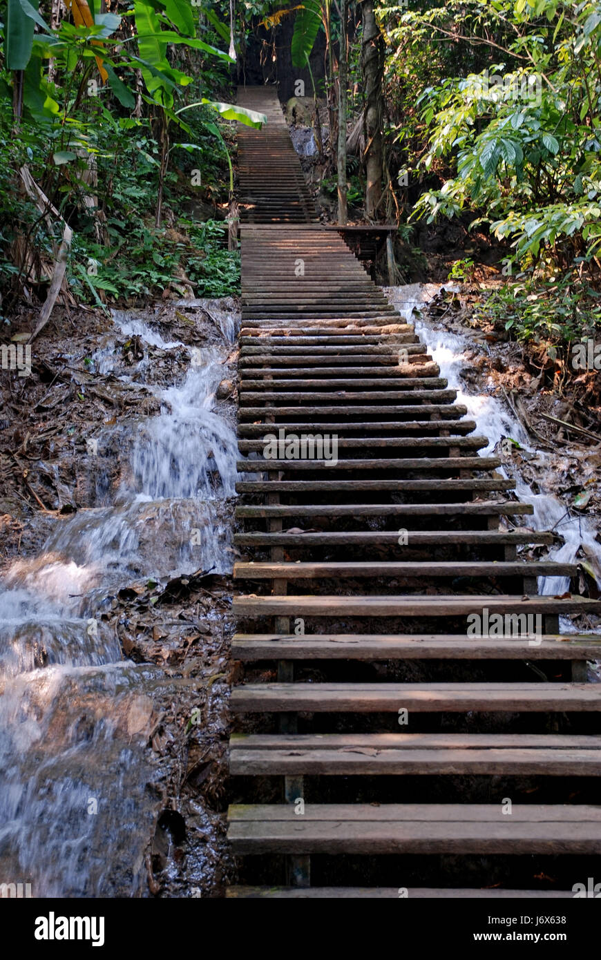 stairs wood waterfall wet cool forest water steps stairs tree fluent ...