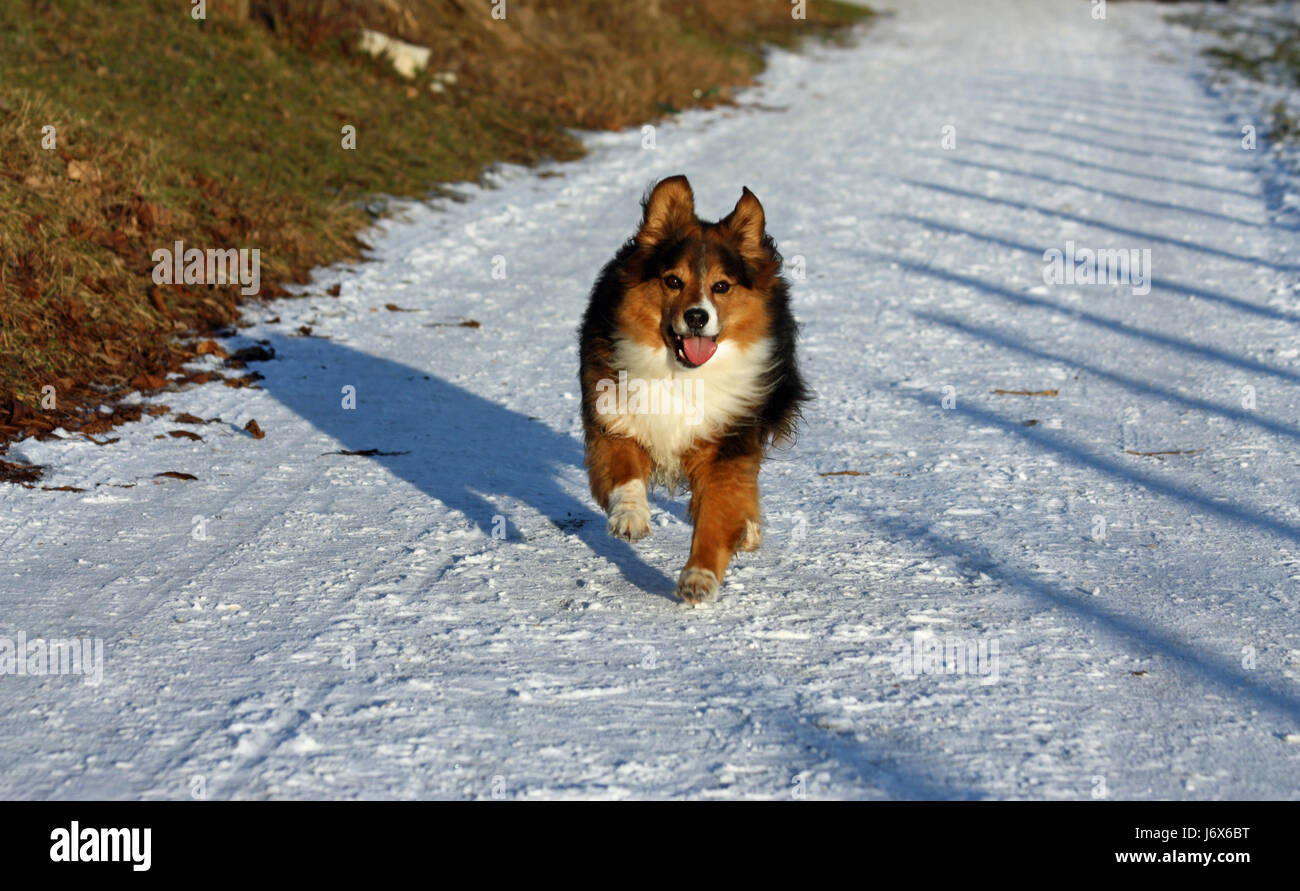 In a rush hi-res stock photography and images - Alamy